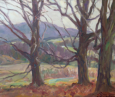 Bryan Memorial Gallery